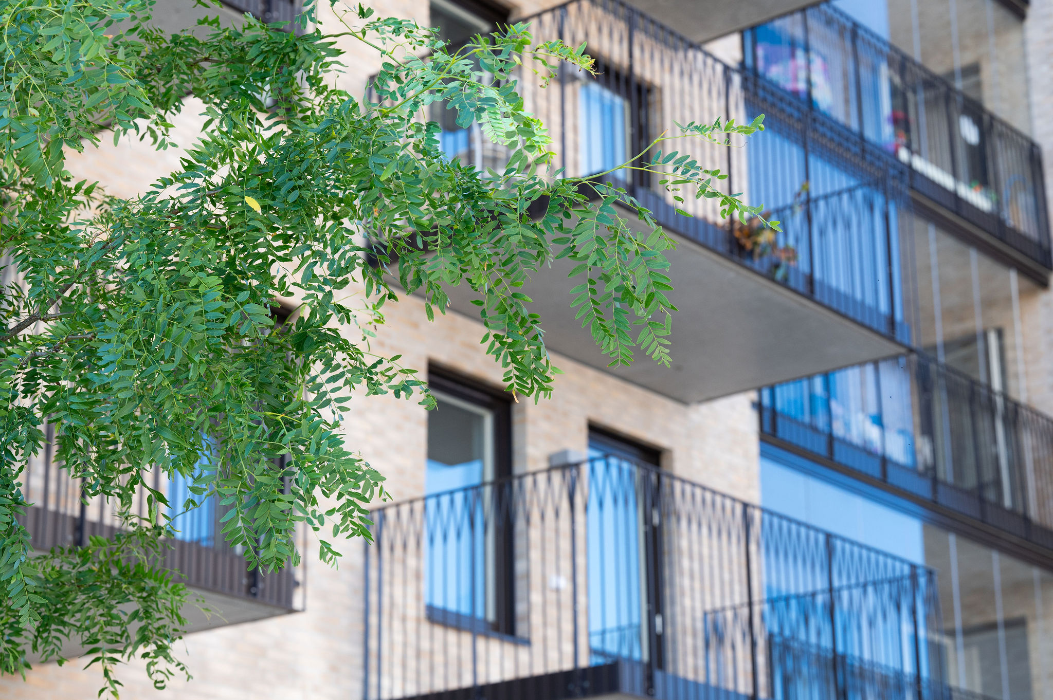 Pilevall - ditt hem 2025? - KKB Fastigheter AB